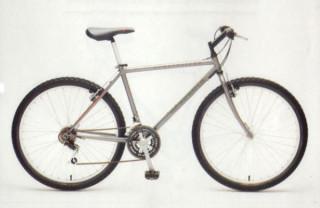 90s Specialized MTBs - Steel Frames, Rigid Forks, 26" Wheels
